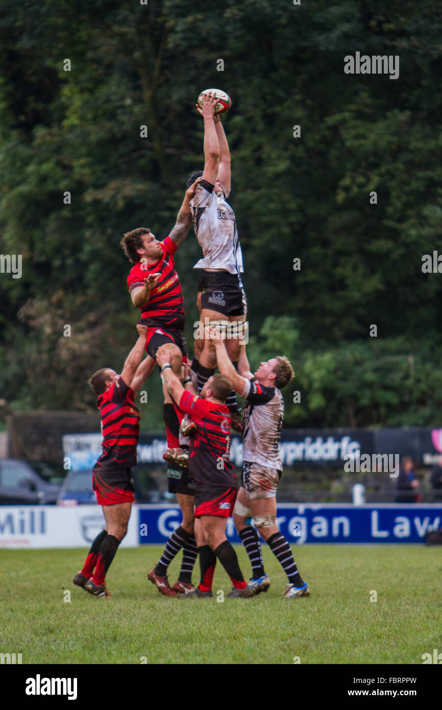 Aberavon Rfc High Resolution Stock Photography and Images - Alamy