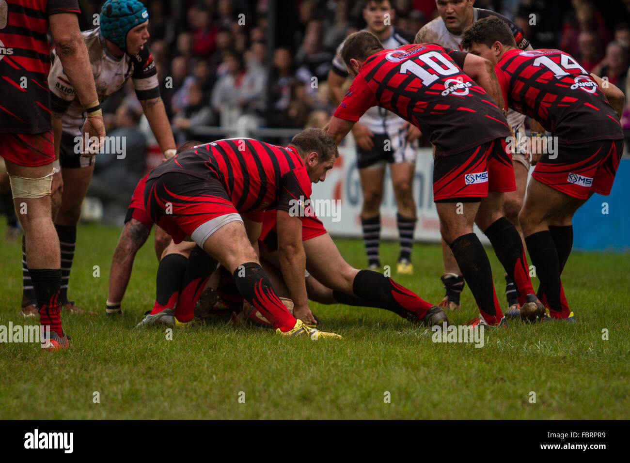 Aberavon rfc hi-res stock photography and images - Alamy