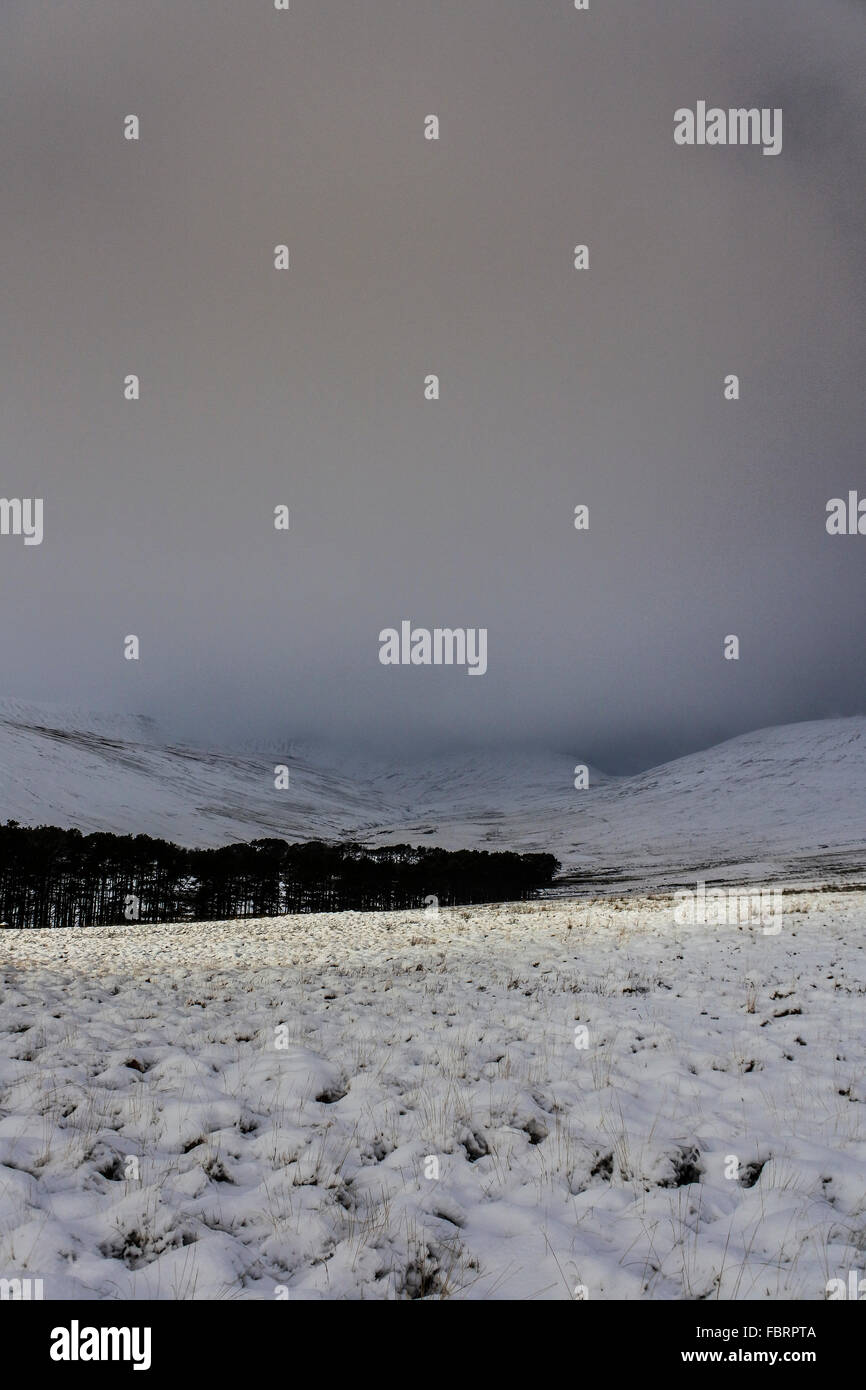 Snow-covered Pen y Fan, Corn Du and Cribyn viewed from the south in the ...