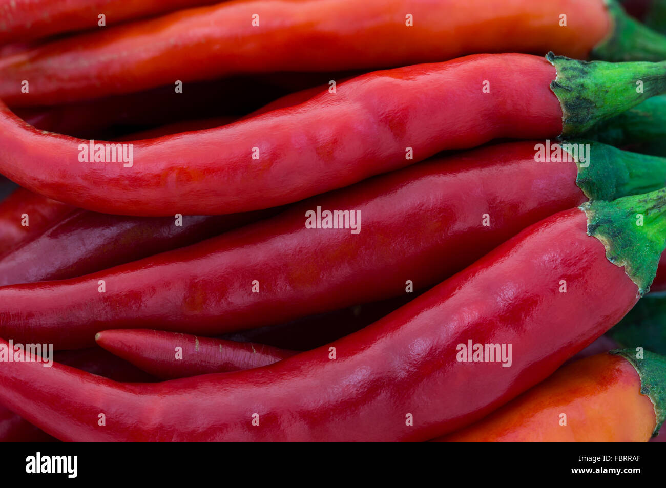 Spicy ingredient, closeup red chili Stock Photo - Alamy
