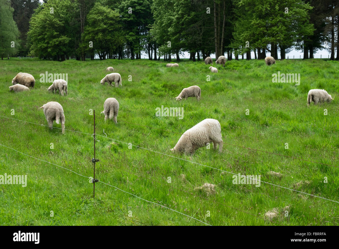 Former battlefield hi-res stock photography and images - Alamy