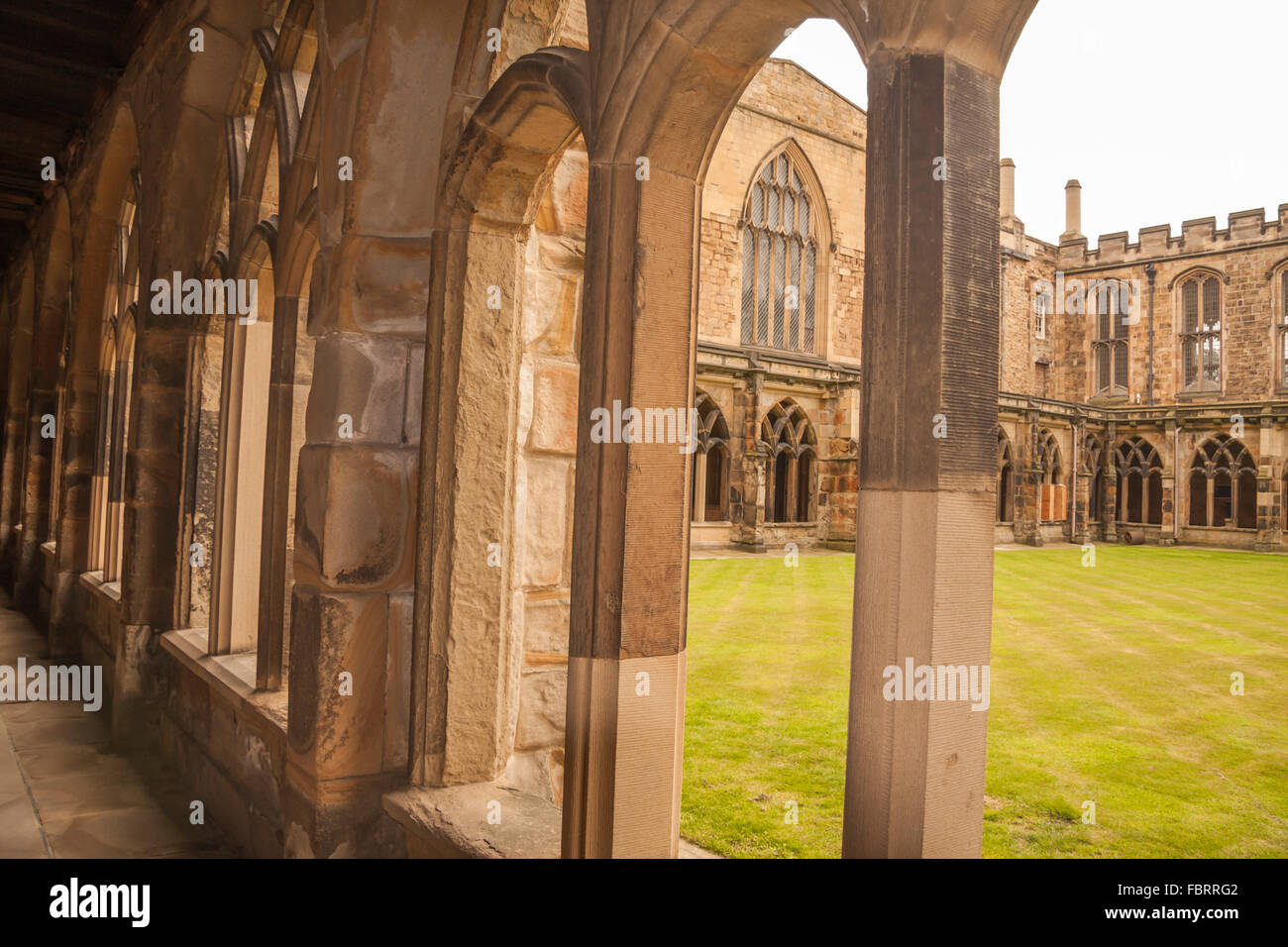 Cloister of durham cathedral hi-res stock photography and images - Alamy