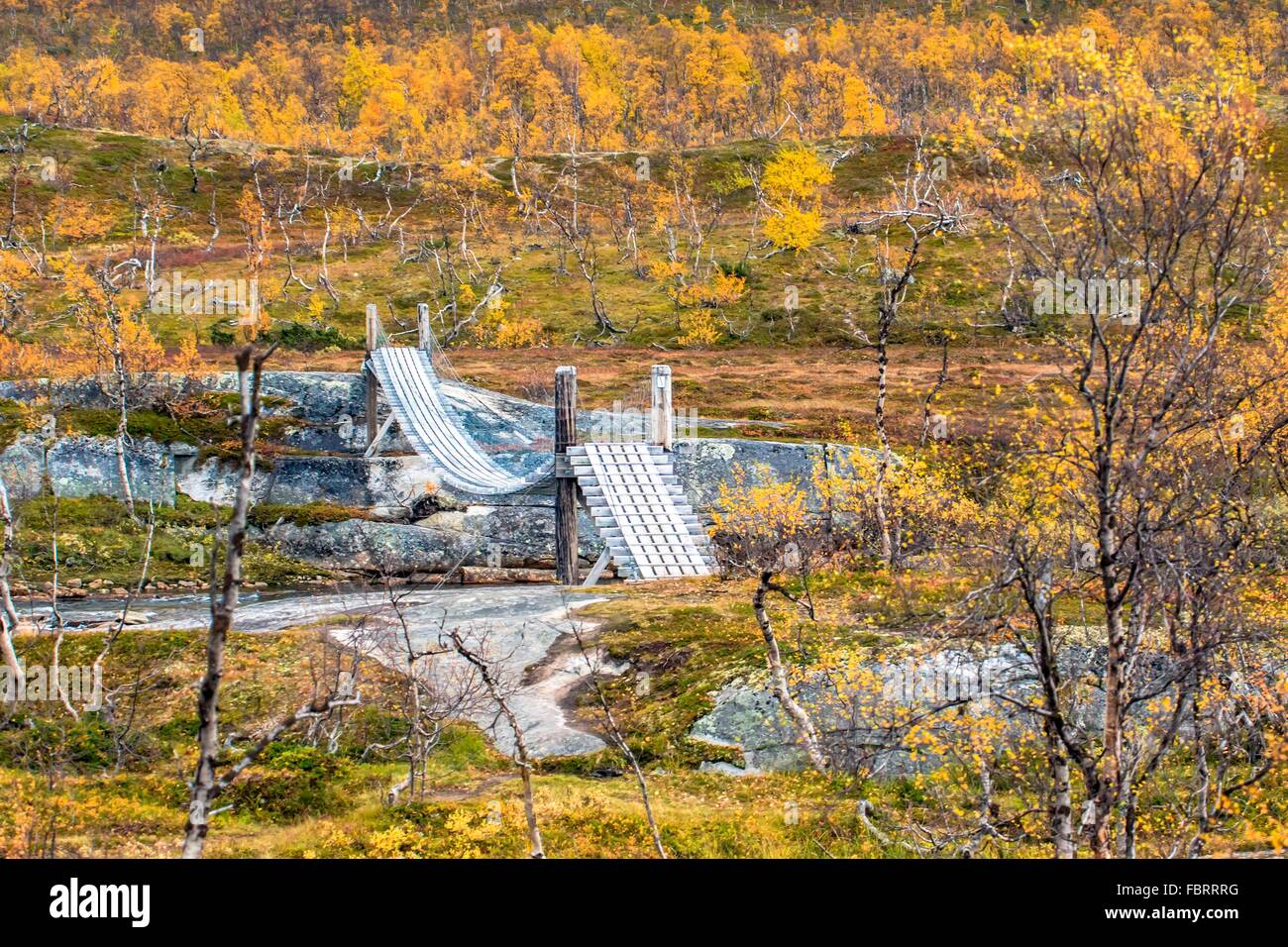suspension bridge in Saltdalen, september 2015 Stock Photo - Alamy