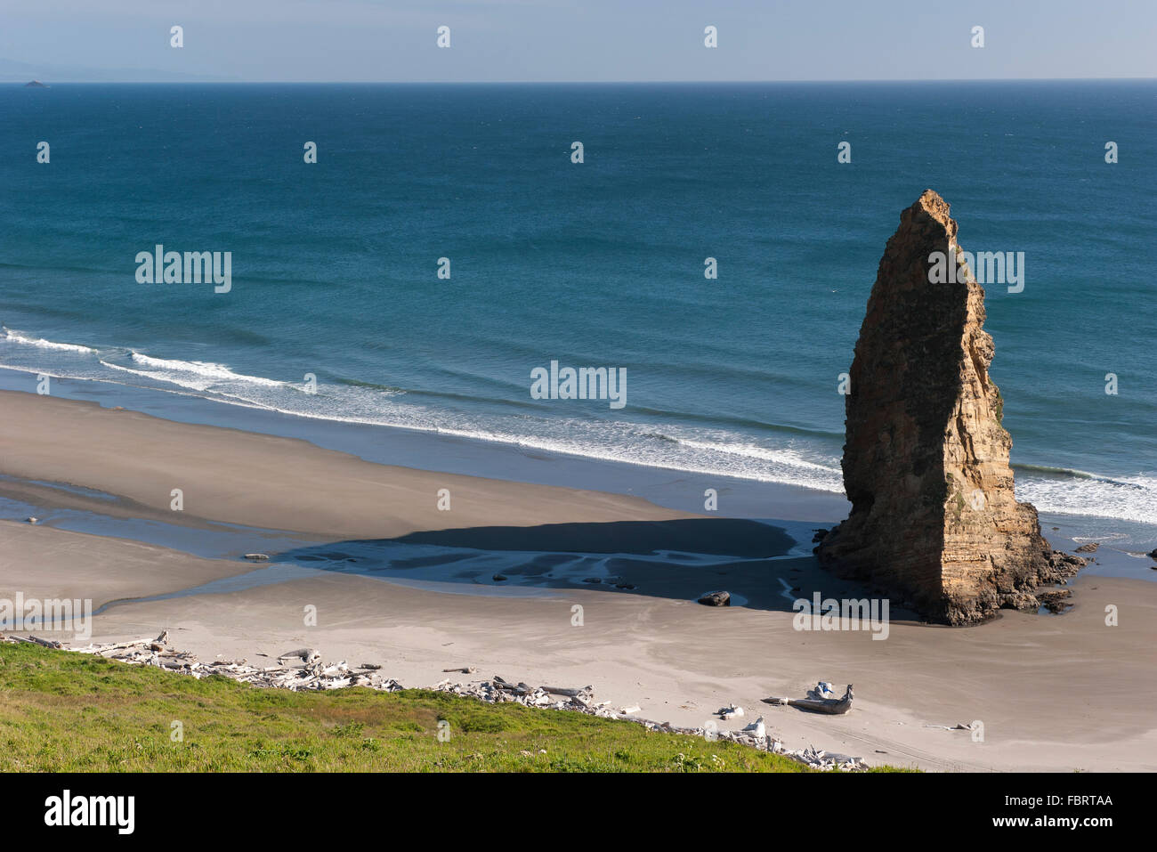 Sea stack rock formation on beach at Cape Blanco State Park, Oregon ...