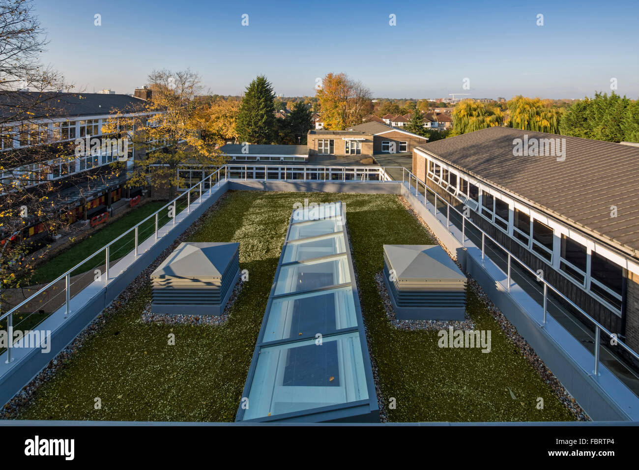 Skylight on green eco roof. Colfe's School - sixth form centre, London ...