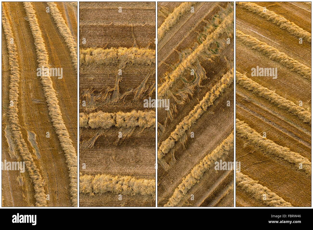 Field, straw, harvest Stock Photo - Alamy