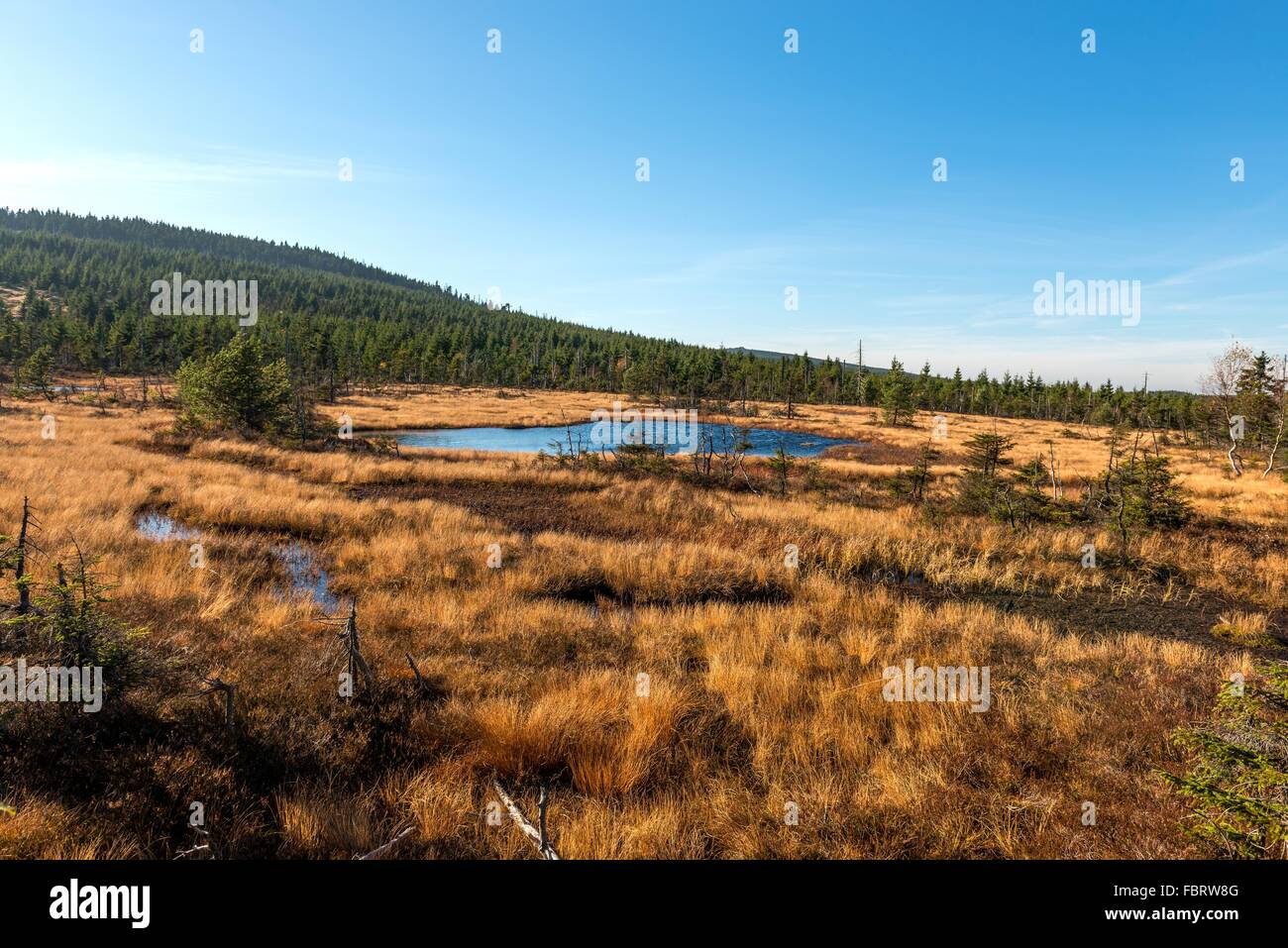 Na Cihadle peat moors Stock Photo - Alamy