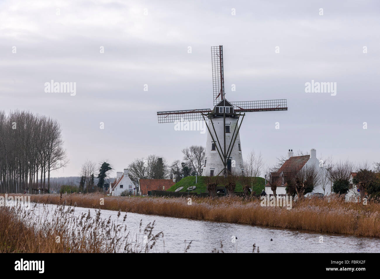 Windmill damme bruges belgium hi-res stock photography and images - Alamy