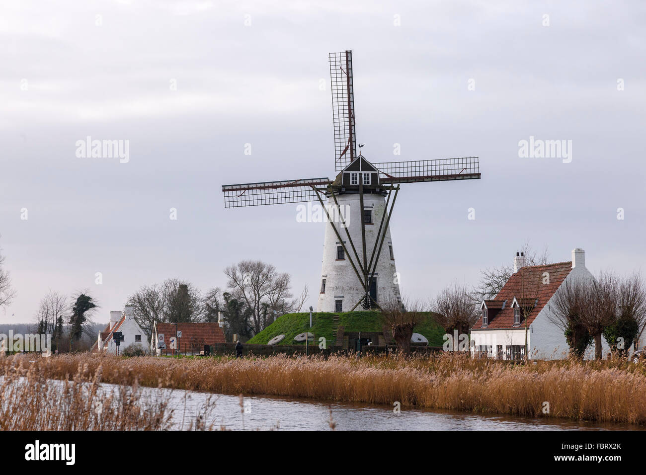 Windmill on the outskirts of Damme , Belguim Stock Photo - Alamy