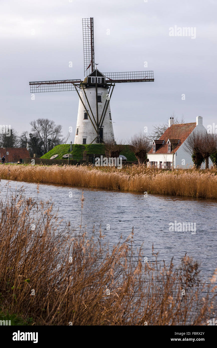 Windmills of brugge hi-res stock photography and images - Alamy