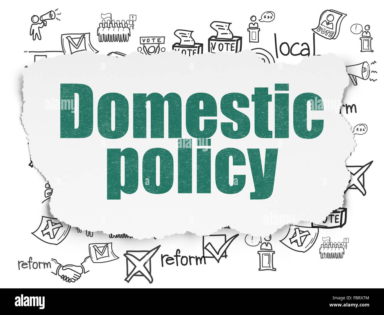 Domestic Policy