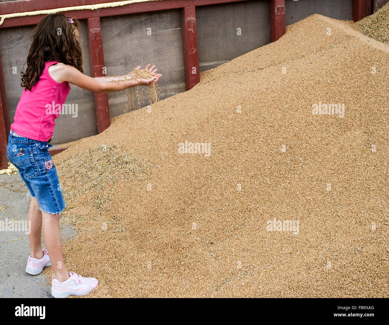 Grain store barn hi-res stock photography and images - Alamy