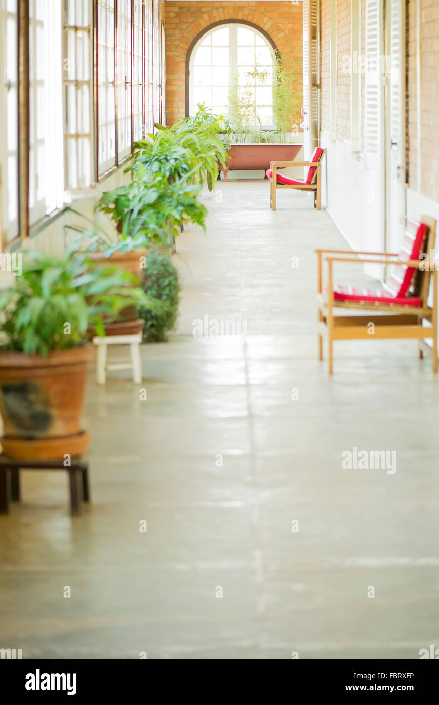Sunroom with chairs and potted plants Stock Photo - Alamy