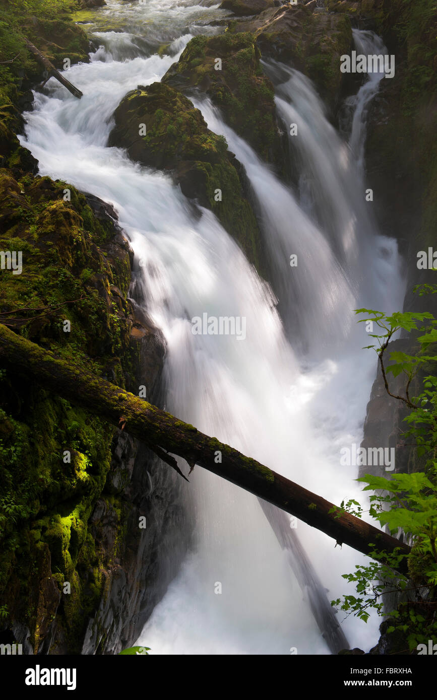 Waterfalls, Olympic National Park, Washington, USA Stock Photo - Alamy