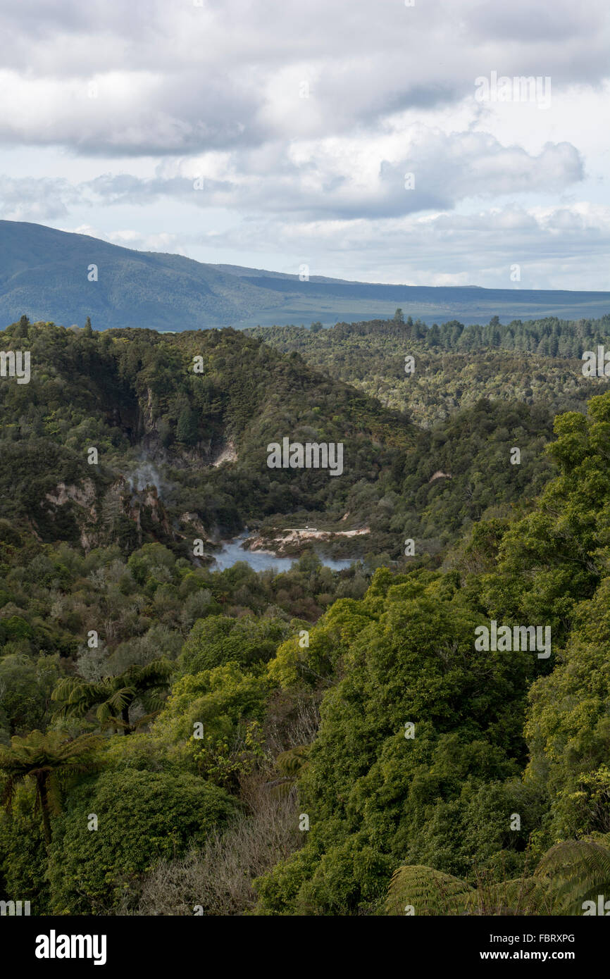 55 °C hot Frying Pan Lake in theWaimangu Volcanic Rift Valley in New ...