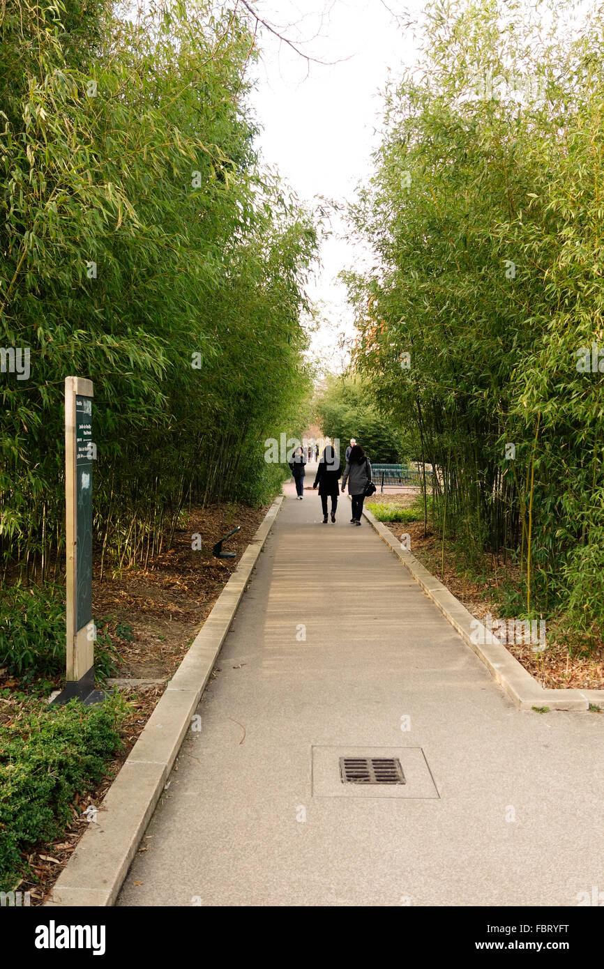 The Promenade plantée, Parisian High Line, elevated linear park, built ...
