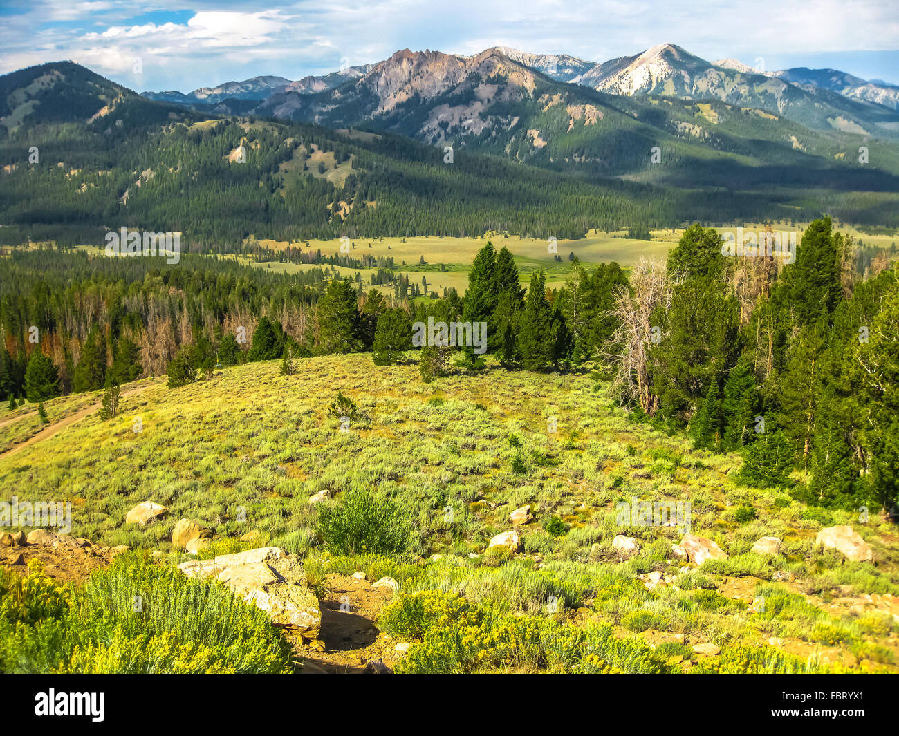 Sawtooth National Forest Stock Photo - Alamy