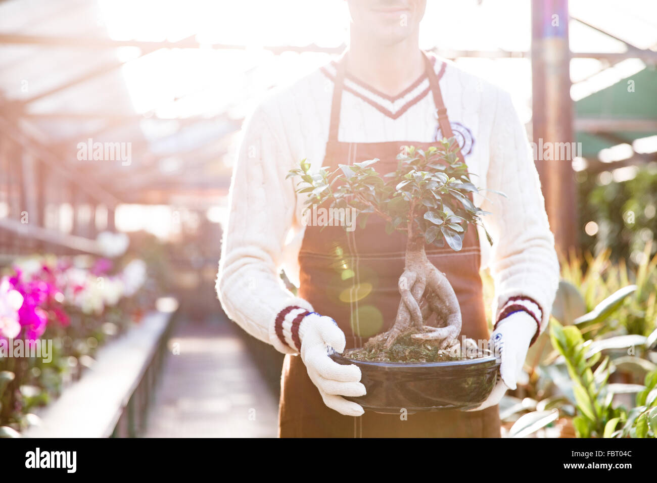 Man bonsai hi-res stock photography and images - Alamy