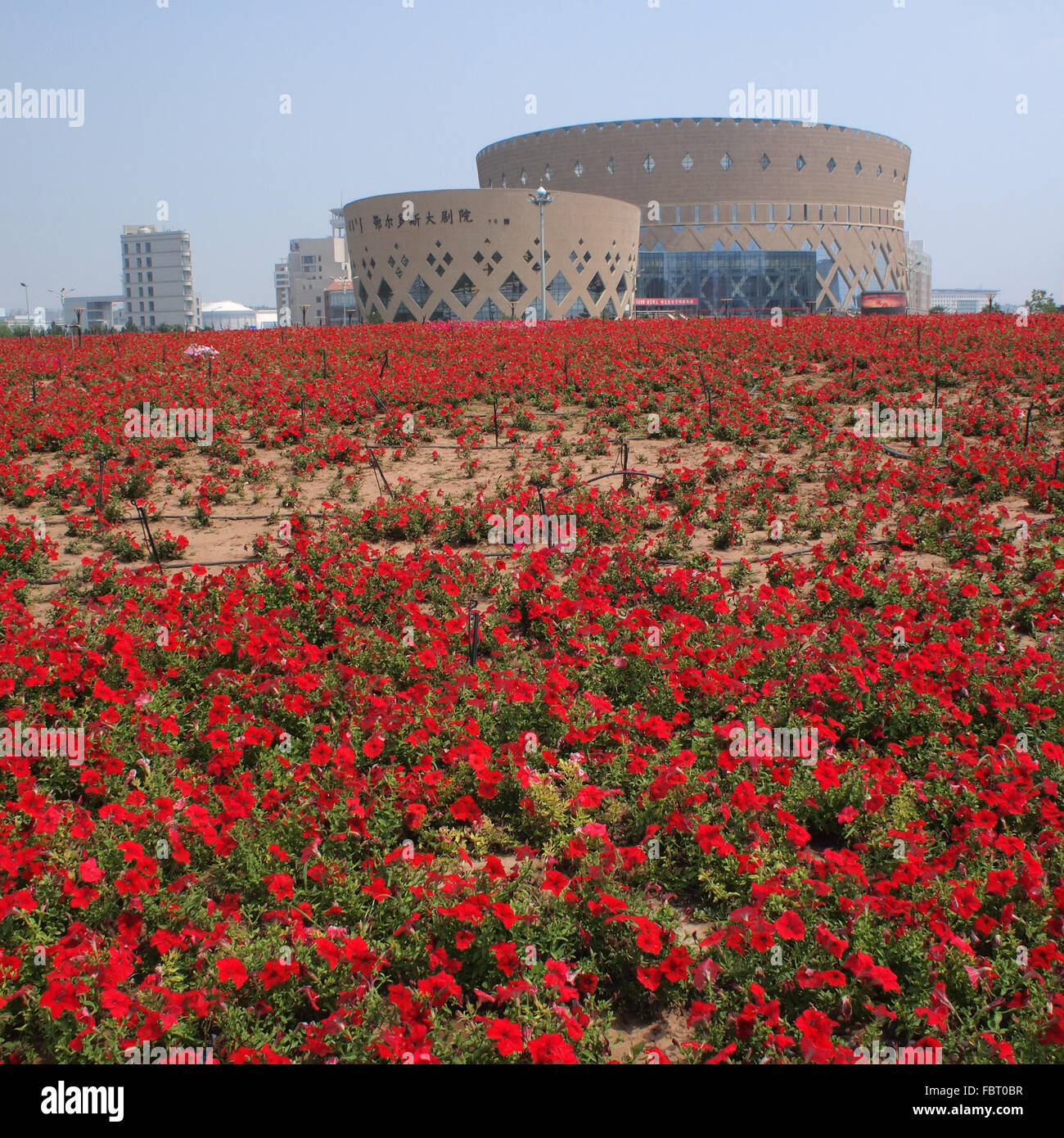 Ordos City Inner Mongolia Autonomous Region China Stock Photo - Alamy