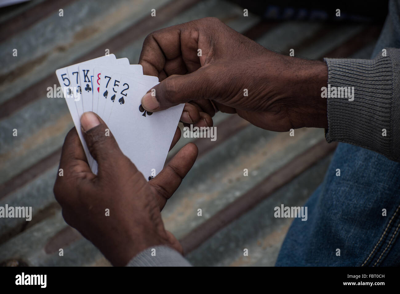 Indian men pass the time on the ferry playing card games. A study of ...