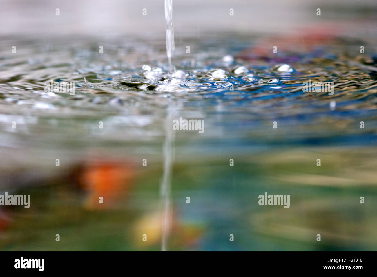 Water without reflections hi-res stock photography and images - Alamy