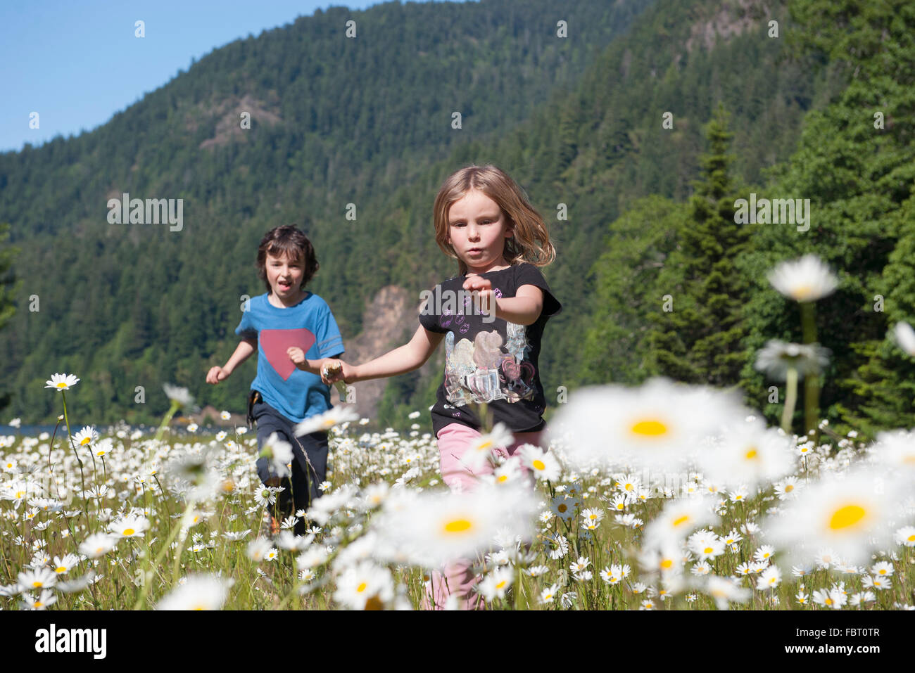 Children running in field flowers hi-res stock photography and images ...