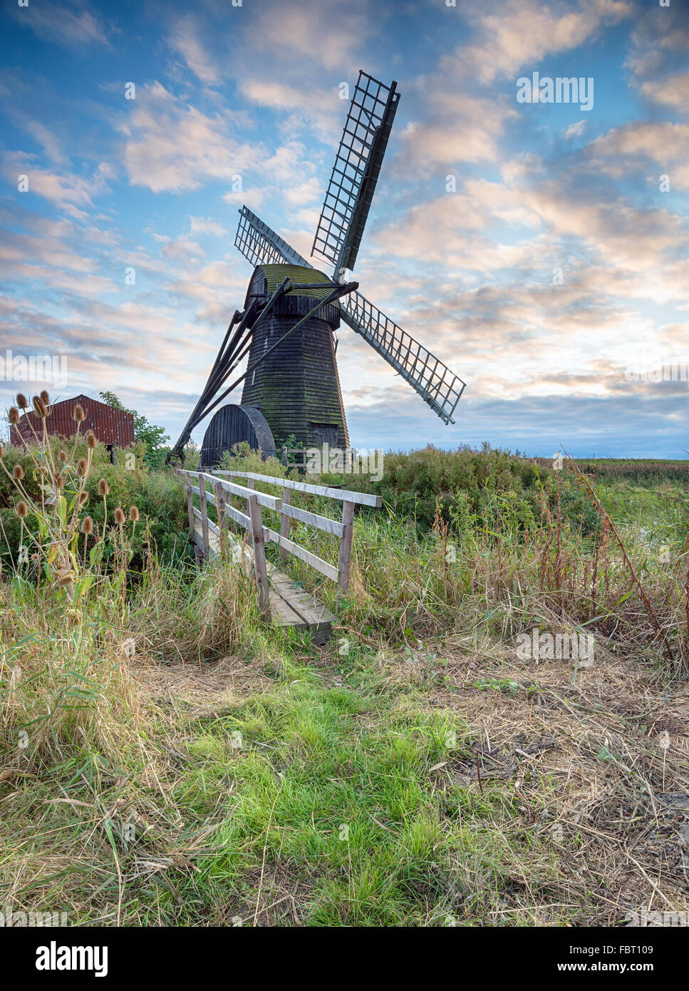 A small wooden bridge leading to Herringfleet Windmill in Suffolk Stock ...