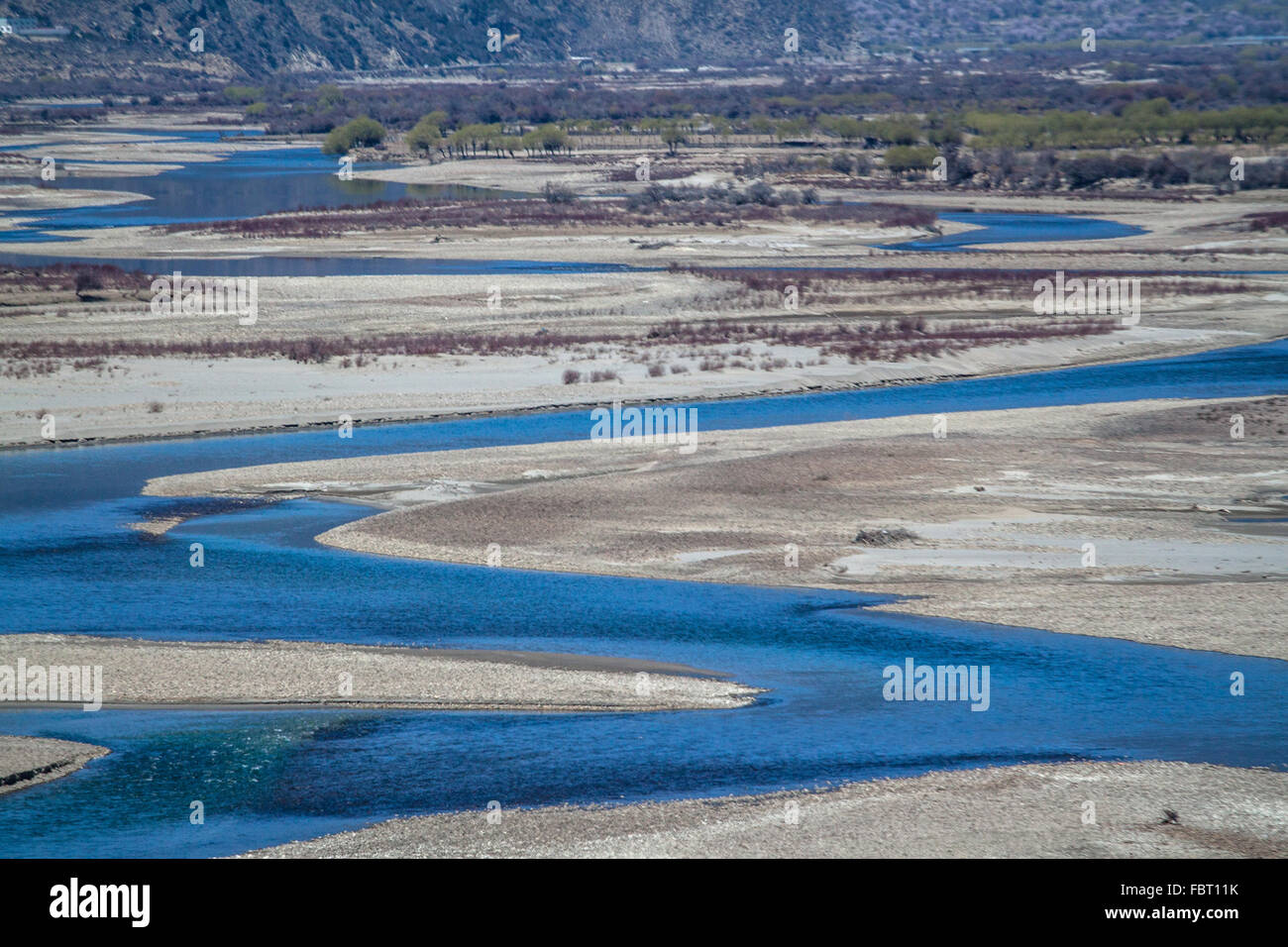 Spring Nyingchi Prefecture Tibet Autonomous Region China Stock Photo ...