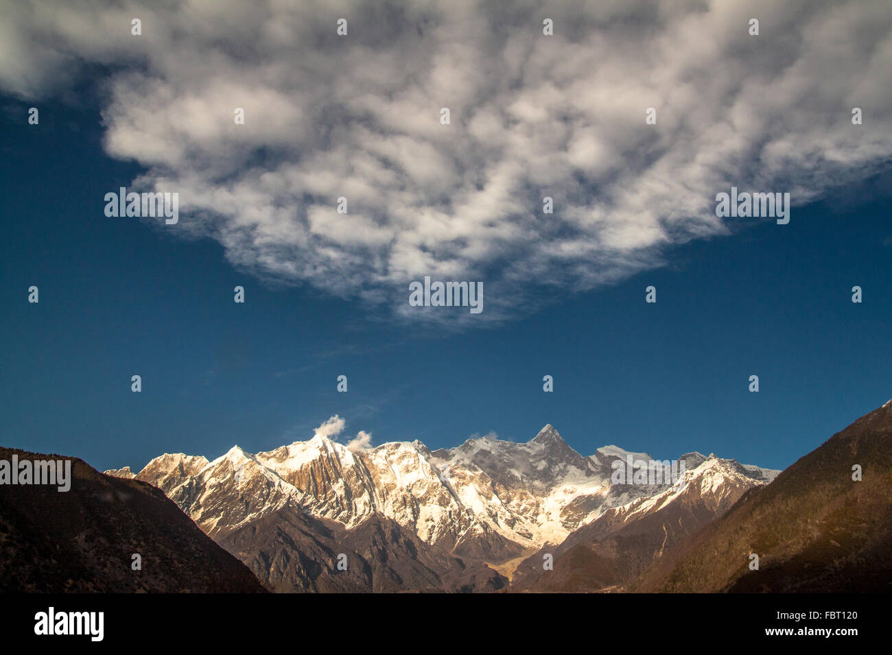 Spring Nyingchi Prefecture Tibet Autonomous Region China Stock Photo ...