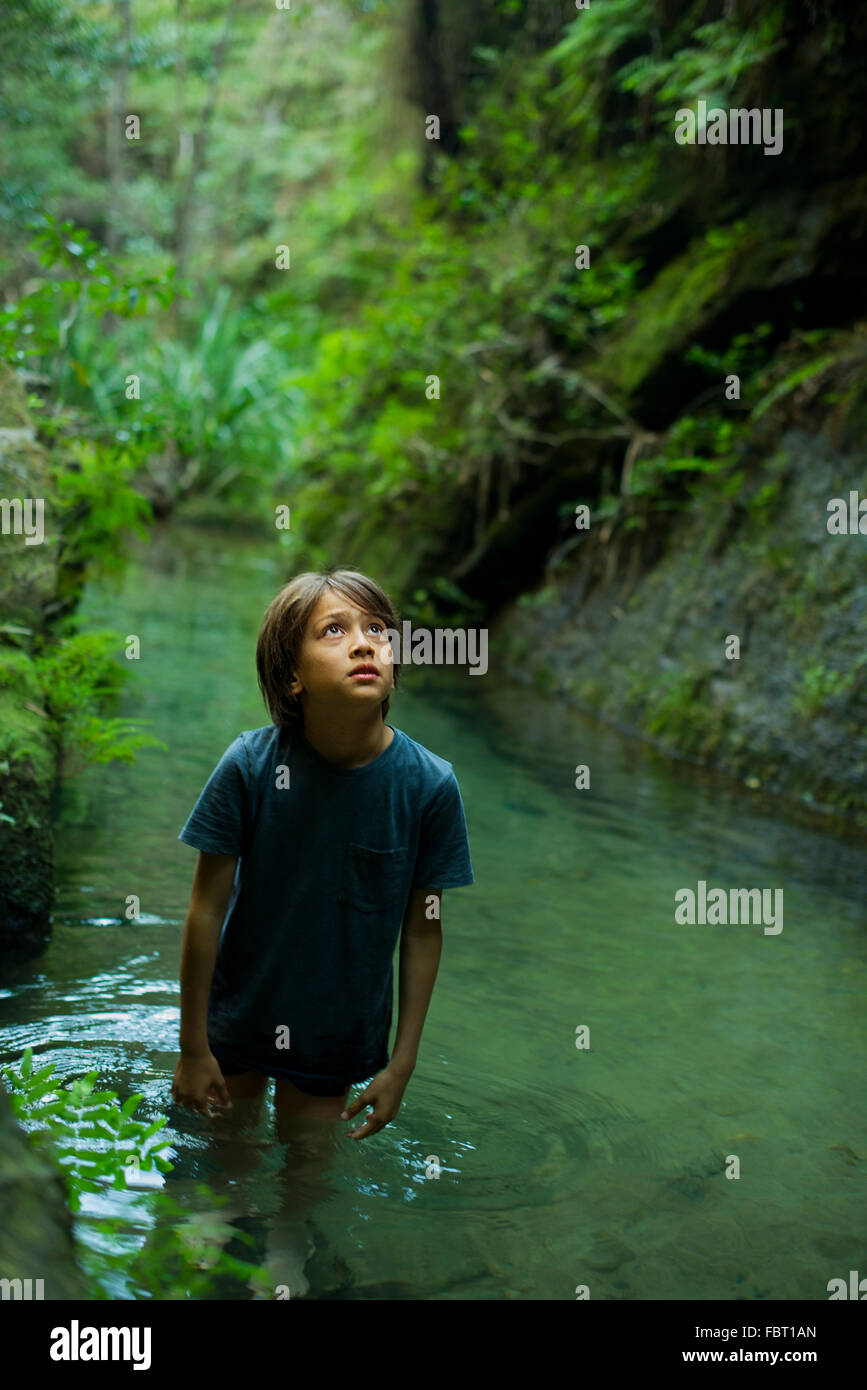 Boy wading in stream, looking up in awe Stock Photo - Alamy