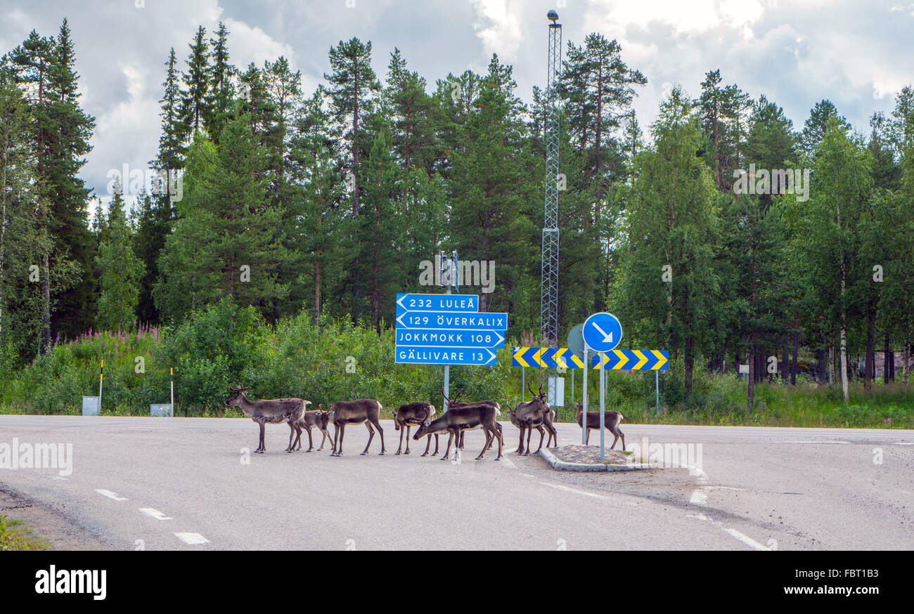 Sweden road signs hi-res stock photography and images - Alamy