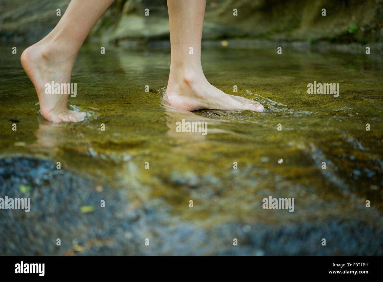 Person wading barefoot in stream, cropped Stock Photo - Alamy