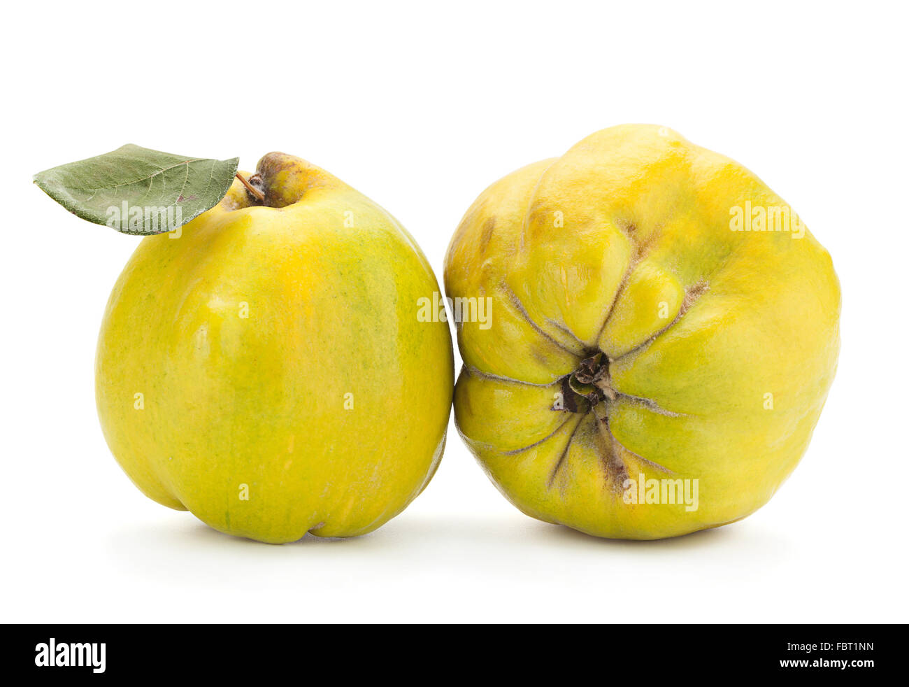 Quince fruit closeup isolated on white background Stock Photo - Alamy