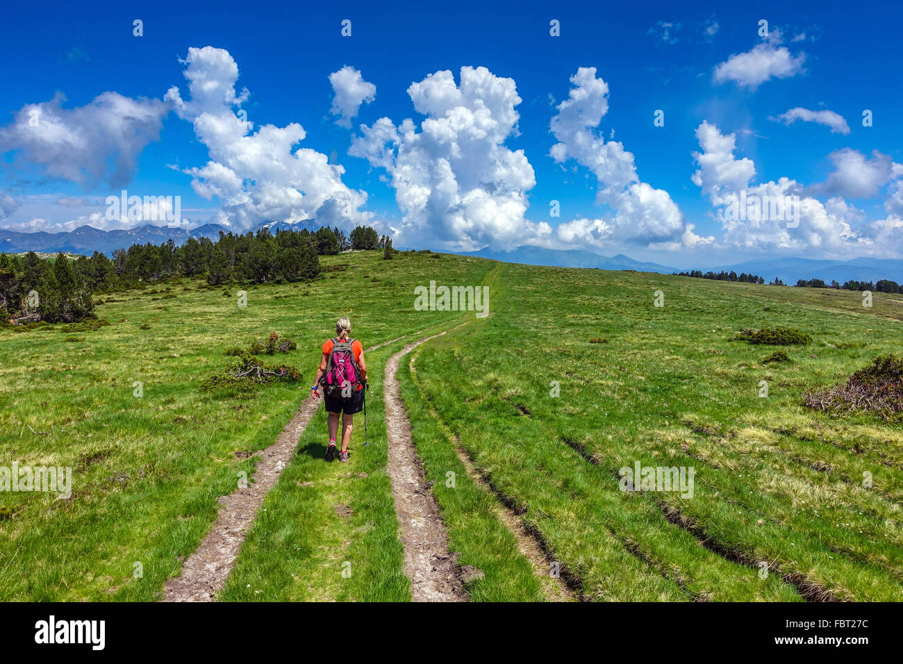 Walker on trail hi-res stock photography and images - Alamy