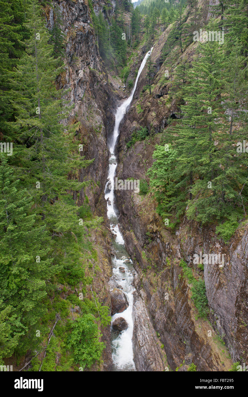 Mountain stream cascading through gorge, North Cascades National Park ...