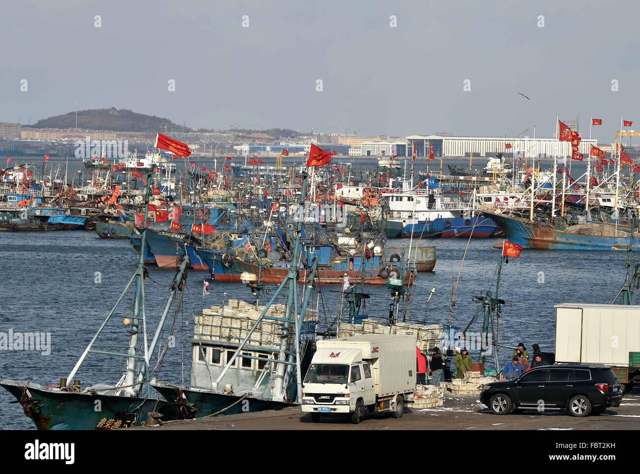 Rongcheng, China's Shandong Province. 19th Jan, 2016. Fishermen unload ...