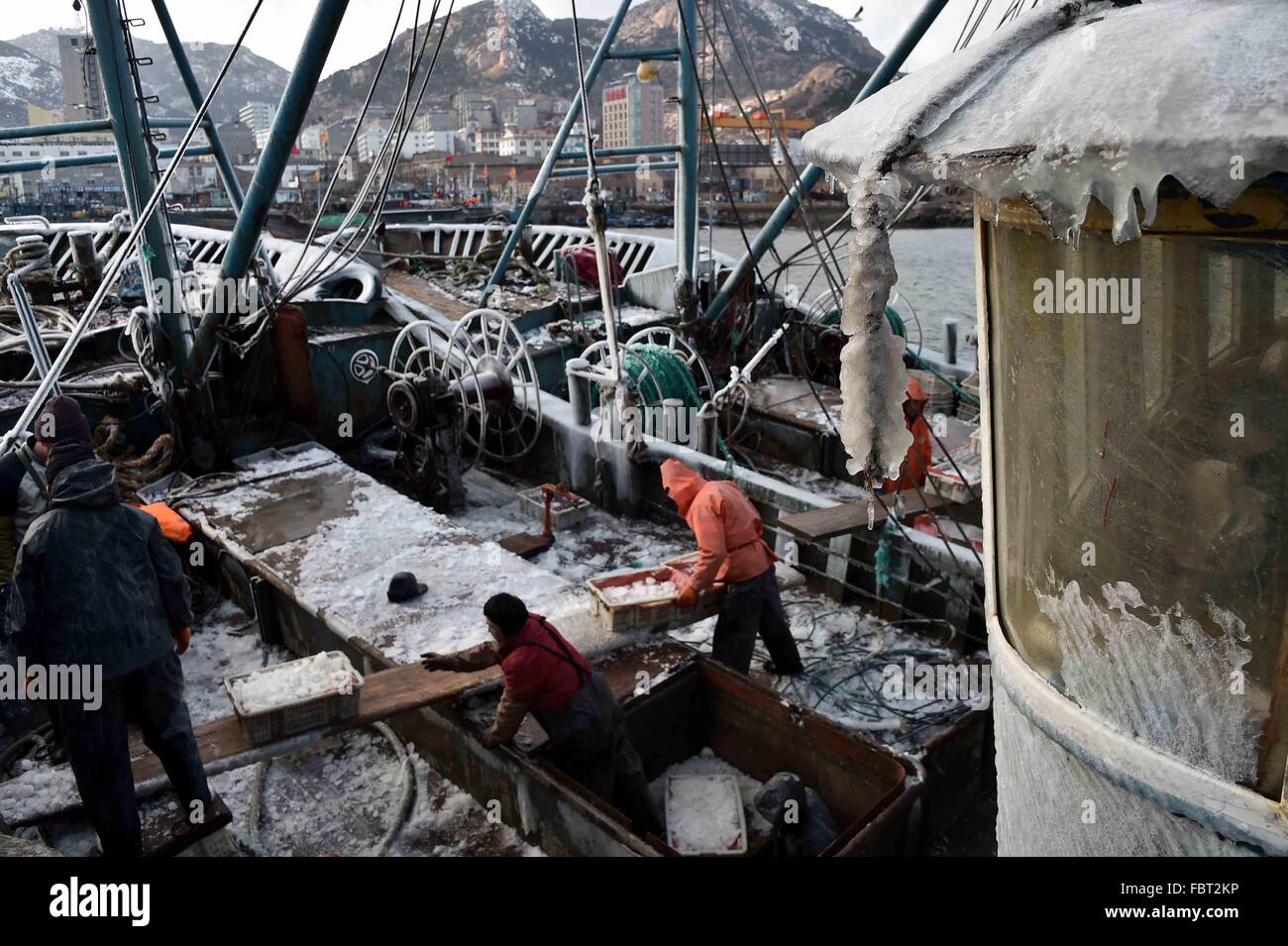 Rongcheng, China's Shandong Province. 19th Jan, 2016. Fishermen unload ...