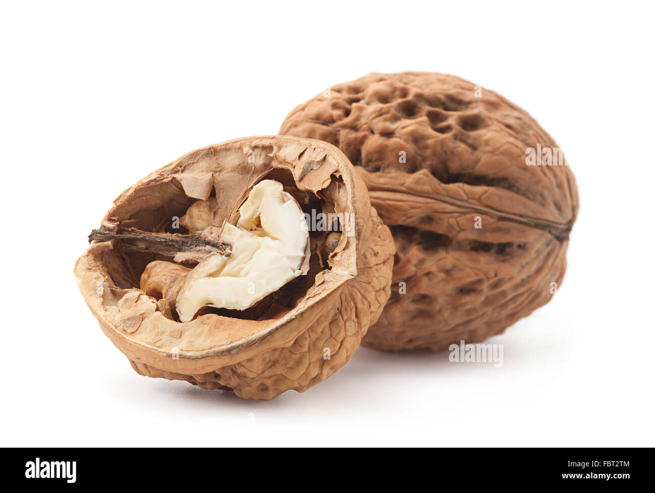 Walnut fruit closeup isolated on white background Stock Photo - Alamy