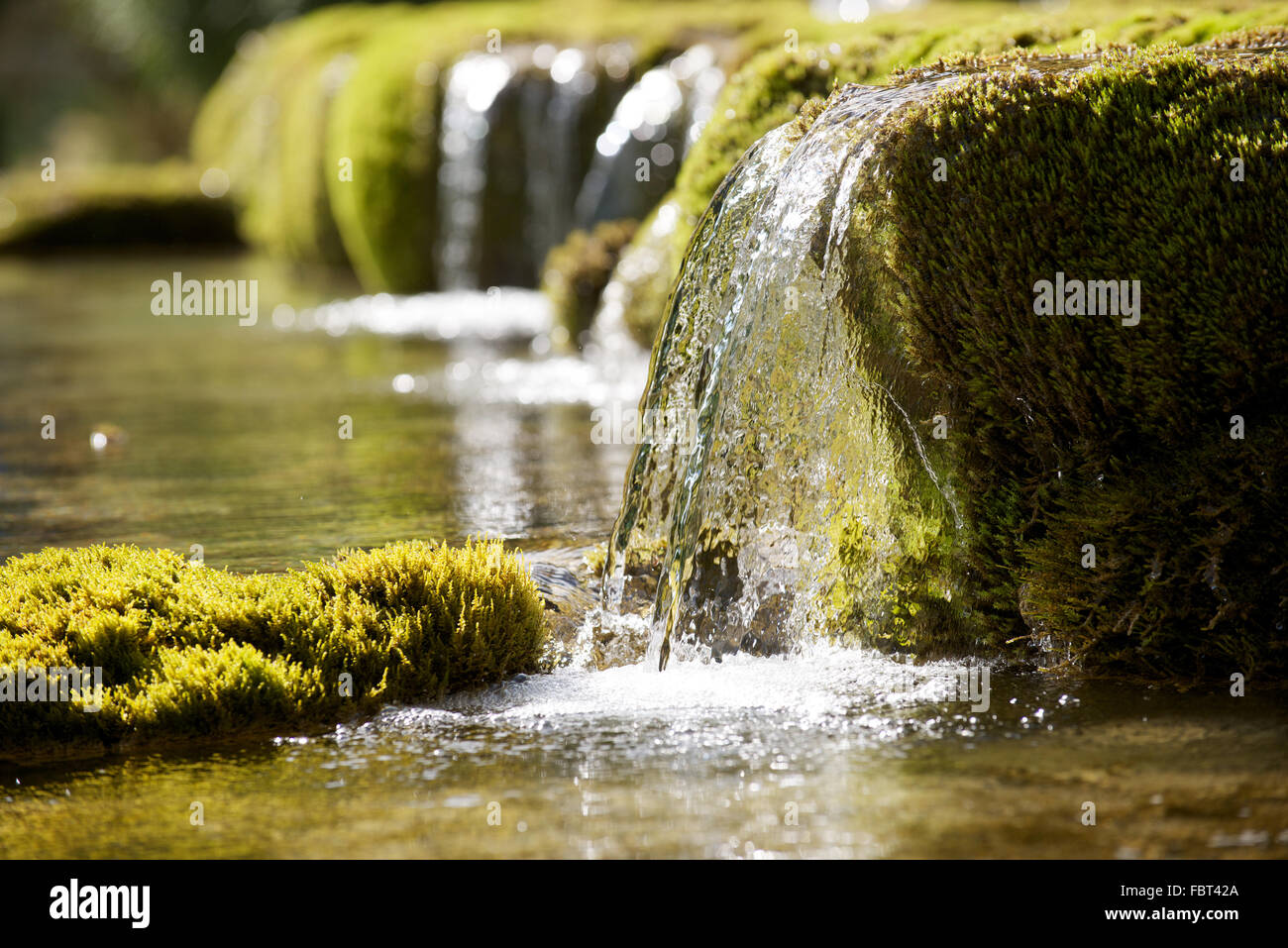 Water flowing over moss covered rocks Stock Photo - Alamy
