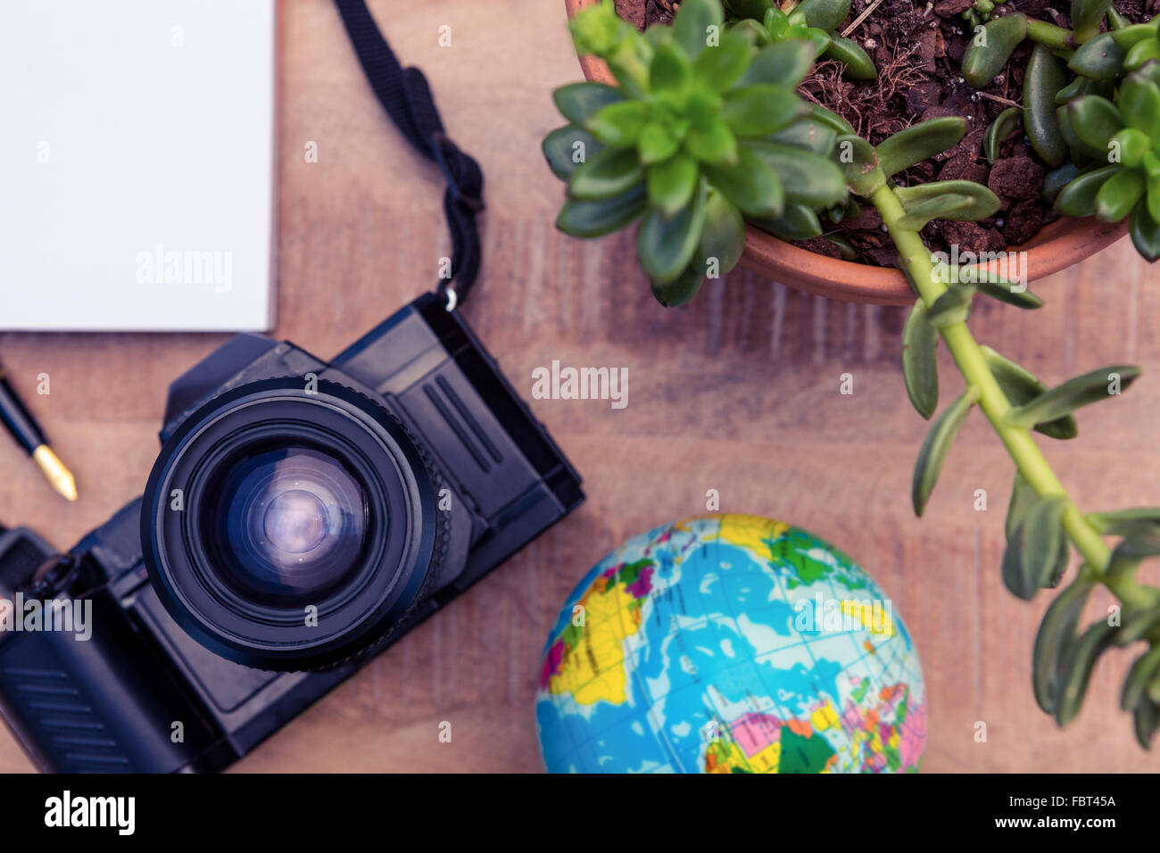 Camera and plant on hi-res stock photography and images - Alamy