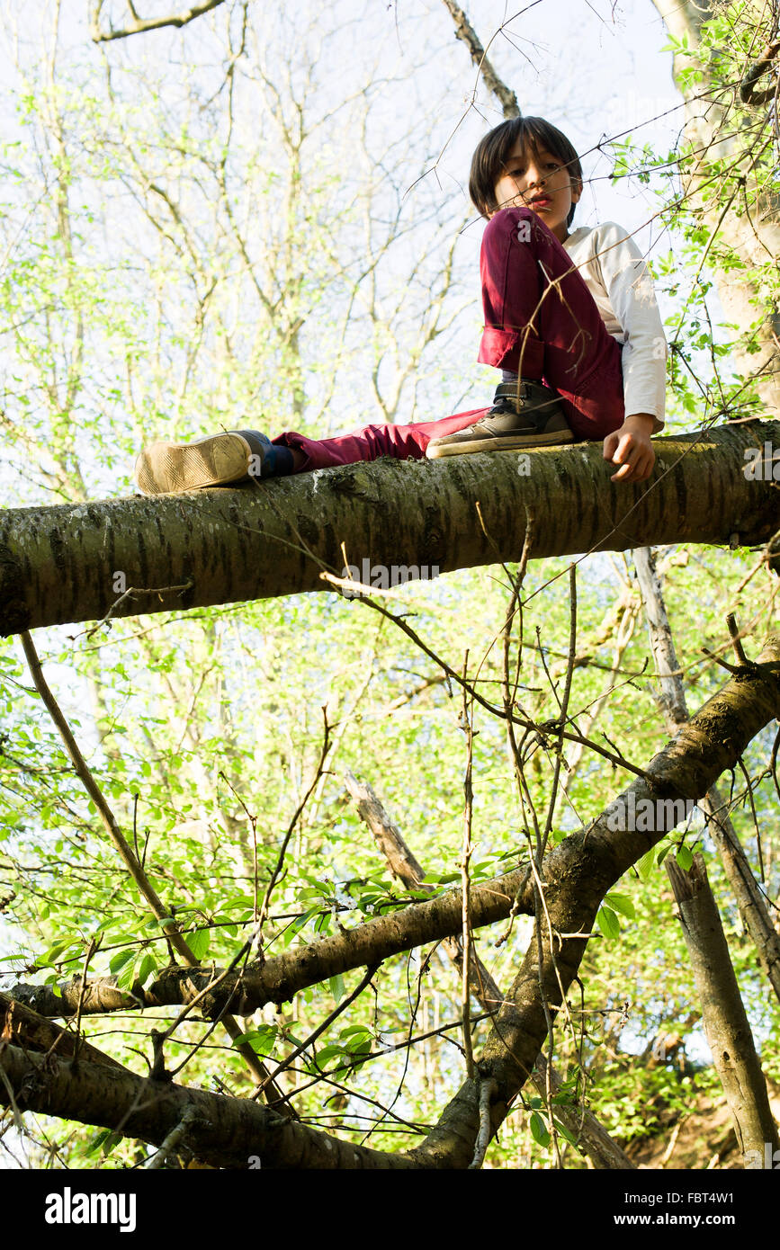 8 9 climbing branch hi-res stock photography and images - Alamy