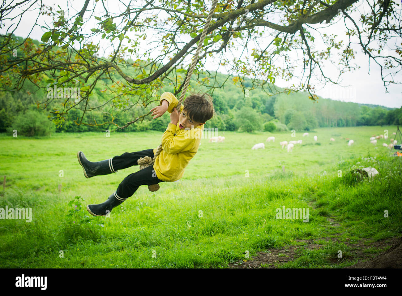 Boy having fun on rope swing Stock Photo - Alamy
