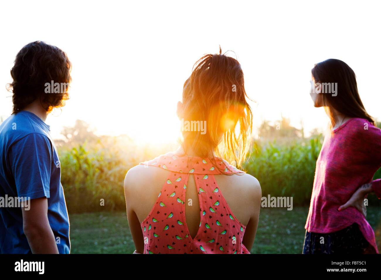 Friends watching sunset together Stock Photo - Alamy
