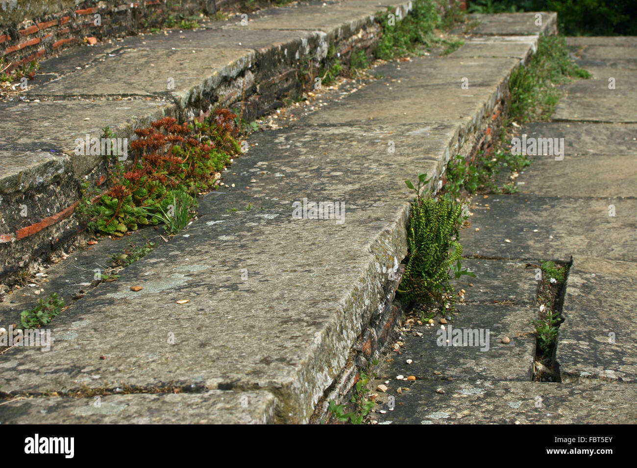 Old stone steps Stock Photo - Alamy