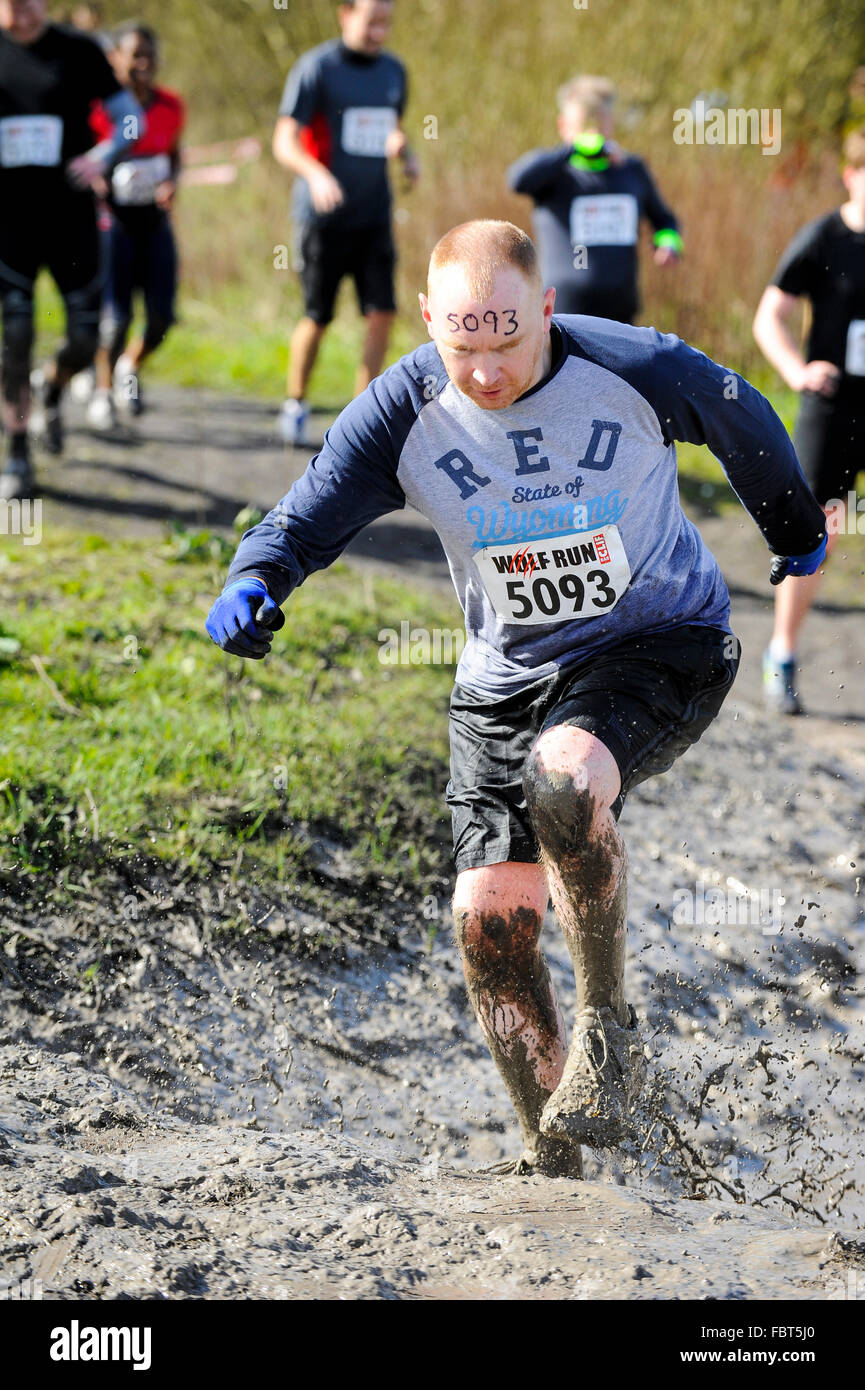 Male runners in mud at obstacle course race, UK Stock Photo - Alamy