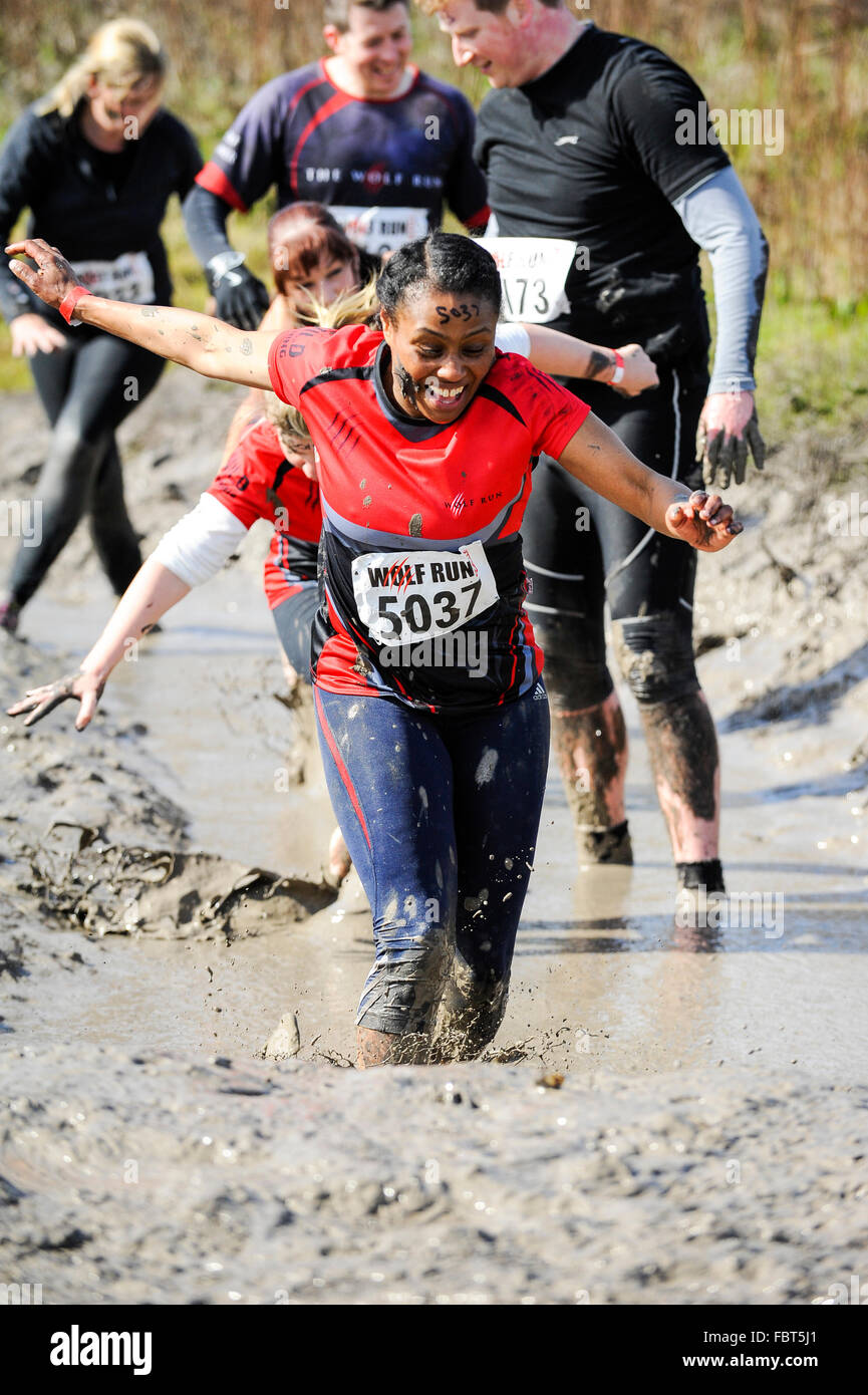 African Caribbean female runner at obstacle course race, UK Stock Photo ...