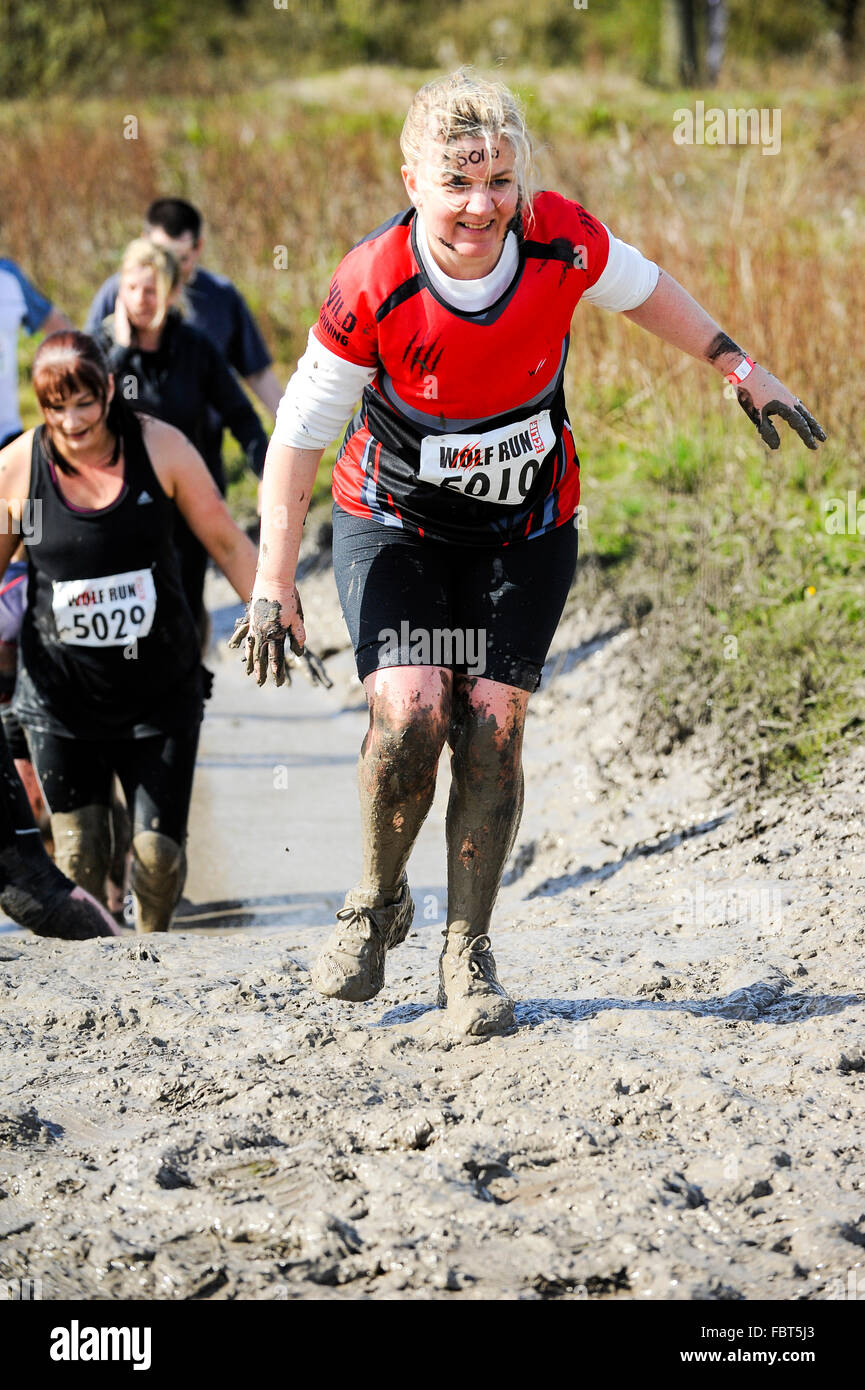 Female runner stuck in mud at obstacle course race, UK Stock Photo - Alamy