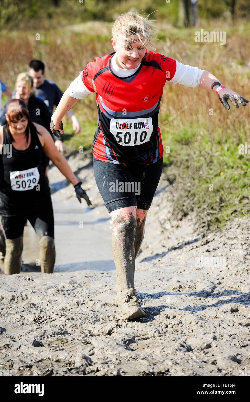 Obstacle race stuck hi-res stock photography and images - Alamy