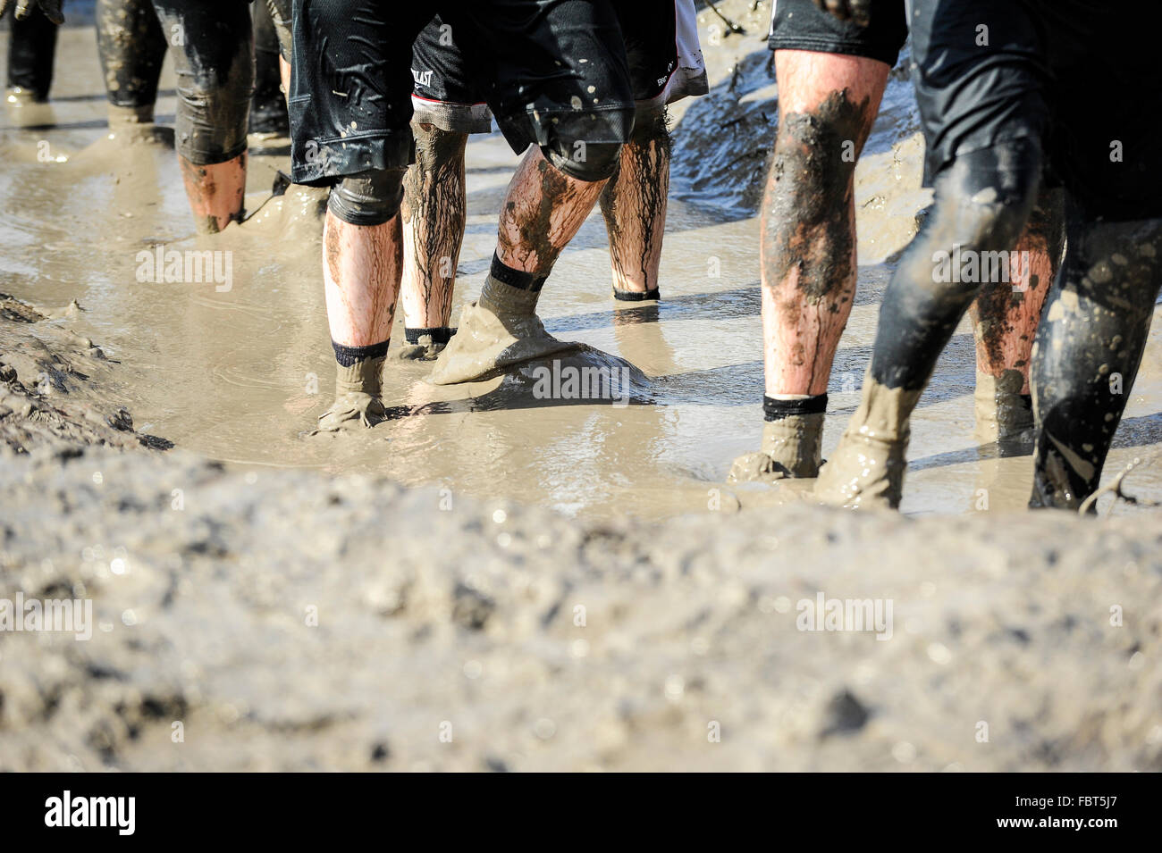 Runners stuck in mud at obstacle course race, legs only, UK Stock Photo ...