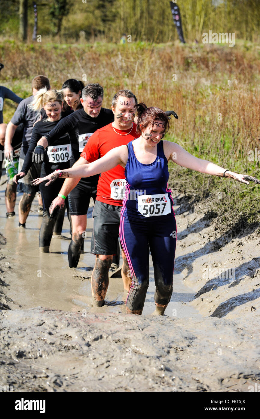 Runners at obstacle course race, UK Stock Photo - Alamy